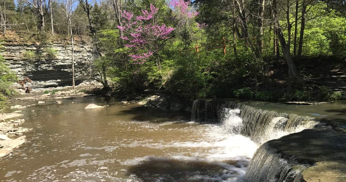 10 Ways to Celebrate Spring In Warren County | Warren County