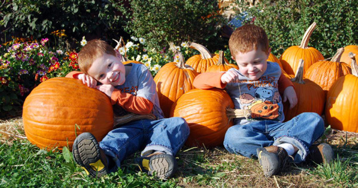 Hello, Pumpkin: Fall Fun is on its Way to Warren County!